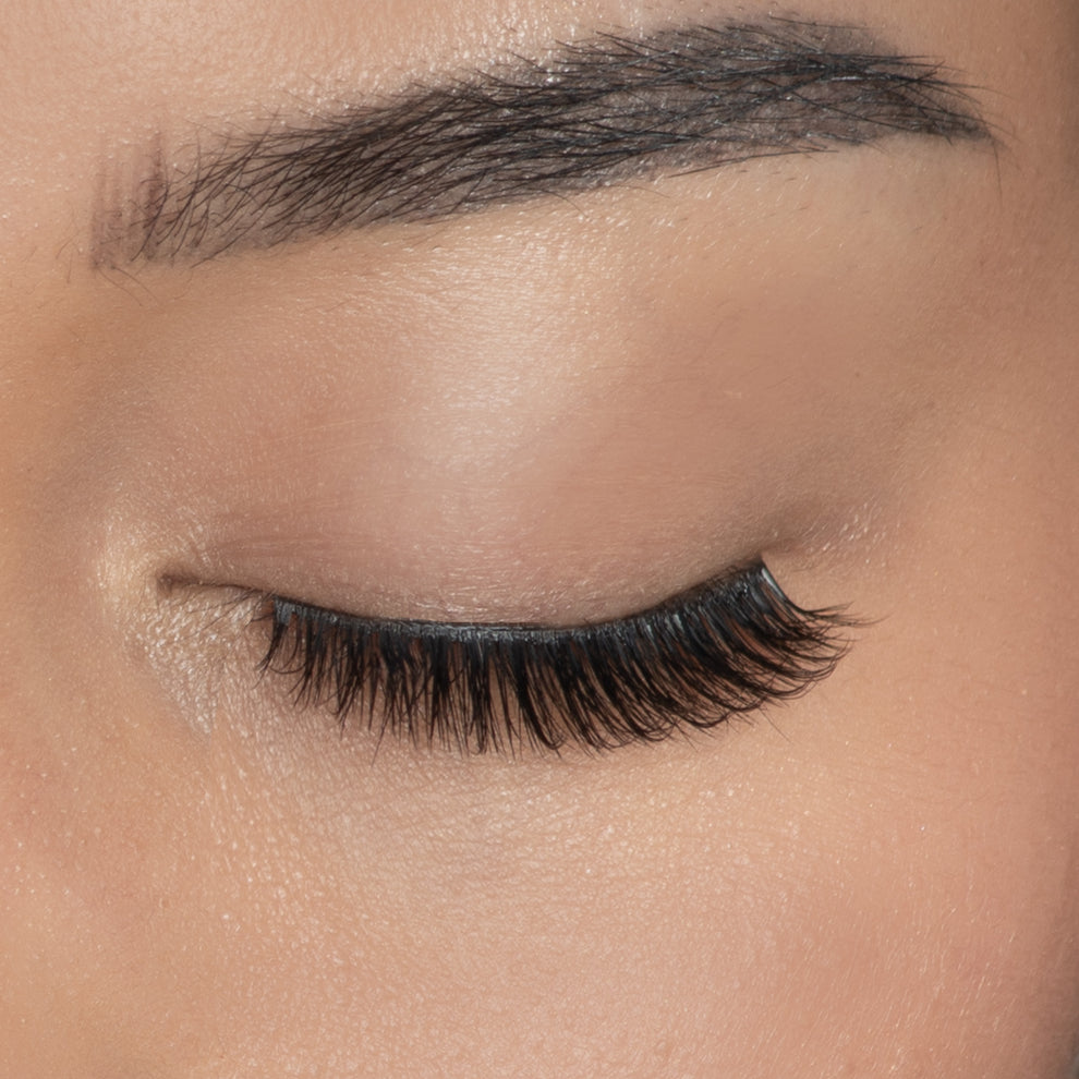 Fusion Lashes – TB Cosmetics