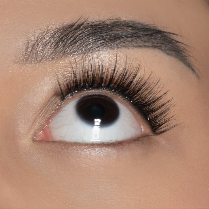 Fusion Lashes – TB Cosmetics