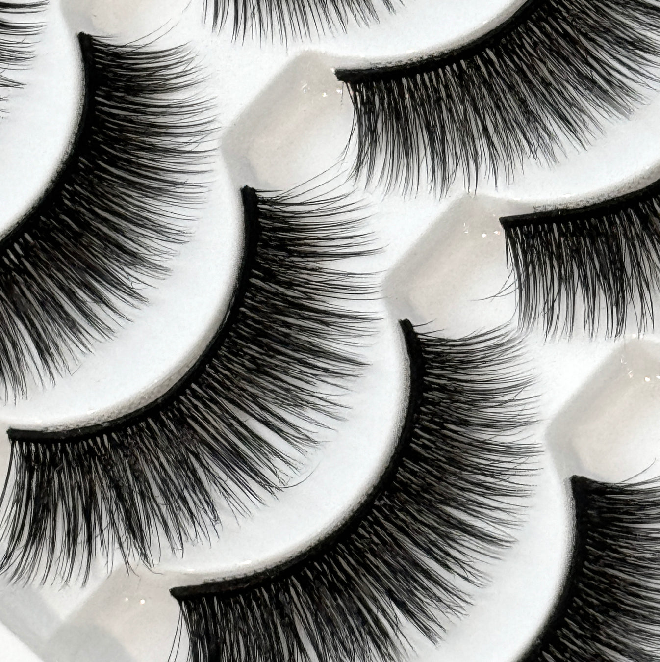 Fusion Lashes – TB Cosmetics